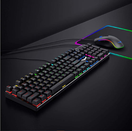 HAVIT KB393L Mechanical Gaming Keyboard and Mouse Combo 104 Keys with