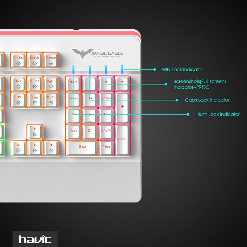 HAVIT HV-KB389L RGB Backlit Mechanical Gaming Keyboard