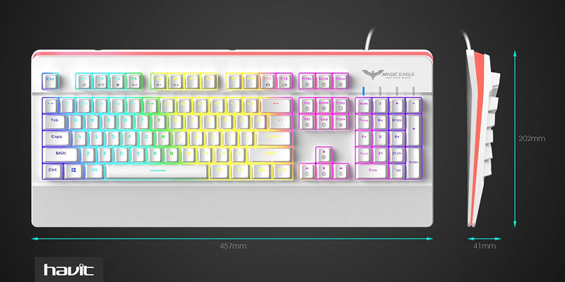 HAVIT HV-KB389L RGB Backlit Mechanical Gaming Keyboard